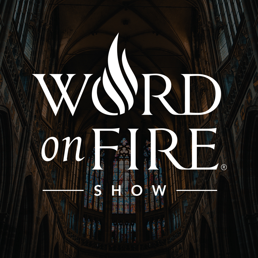 WOF 201: What Unbelievers Asked on Reddit | The Word on Fire Show ...