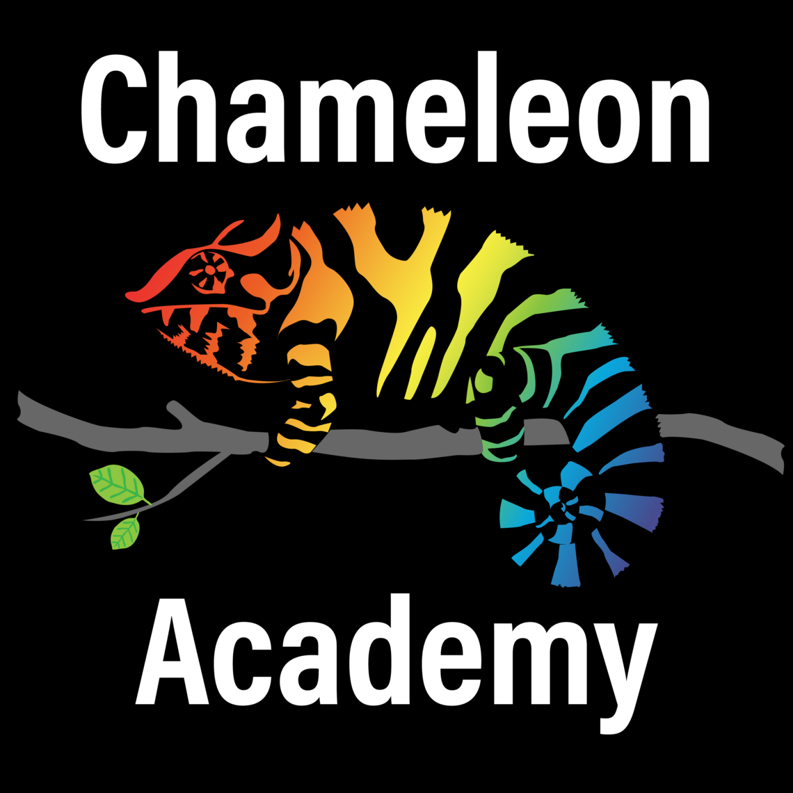 Why We Should Help People in the Chameleon Community | Chameleon ...