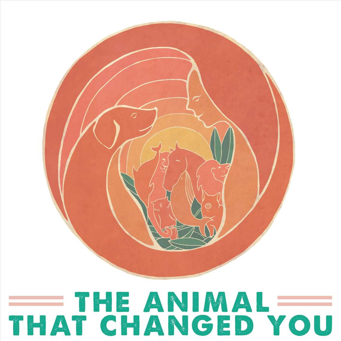 Beagles, Senior Dogs, Beta Fishes, and What it Means to Love an Animal ...