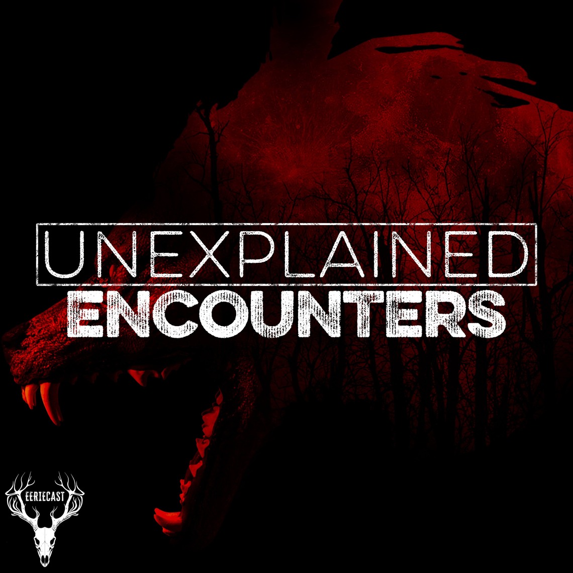 69 | 5 Real WEREWOLF Encounters | Unexplained Encounters Podcast