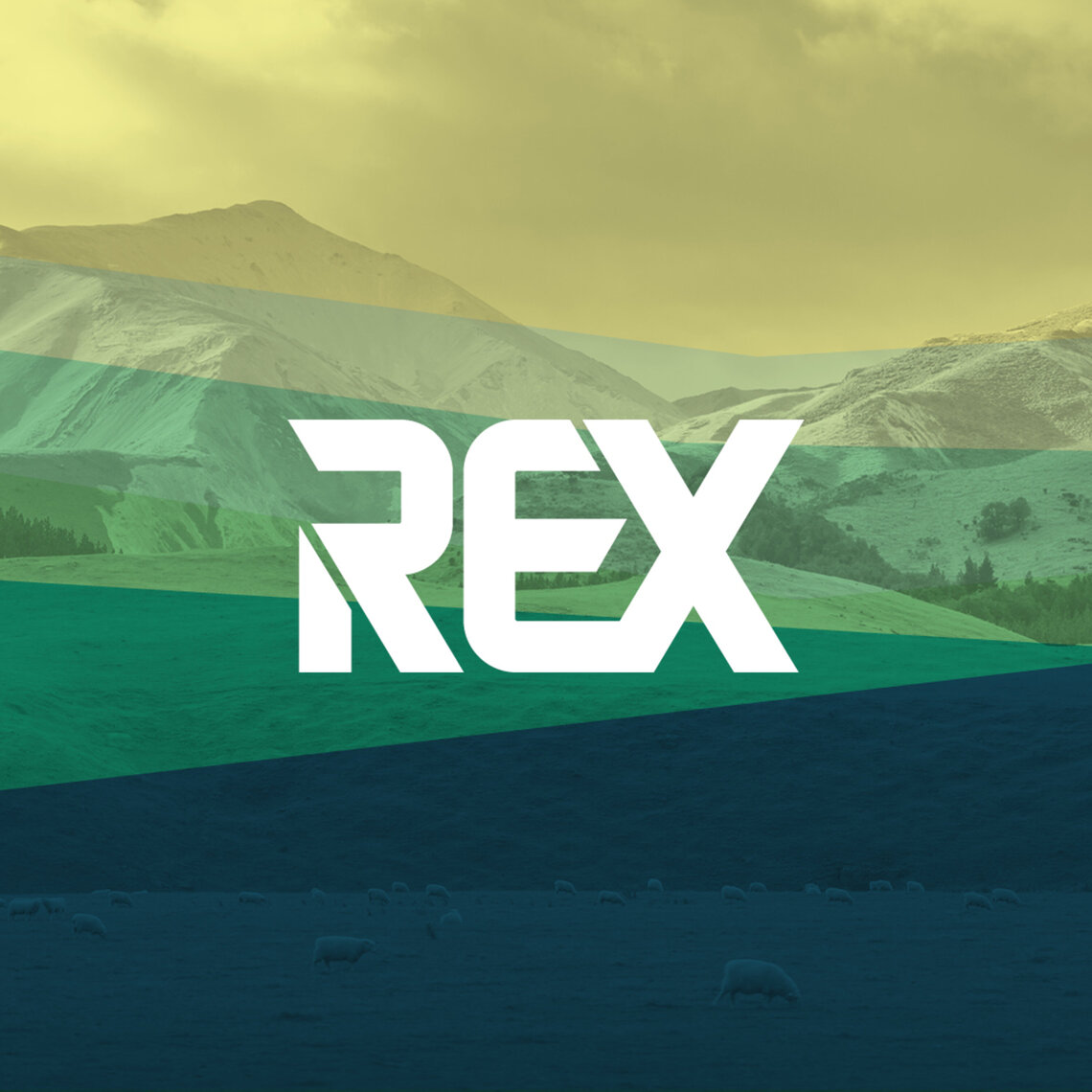 REX Today 11th November - Craig Wiggins, David McBride, Richard Burke ...