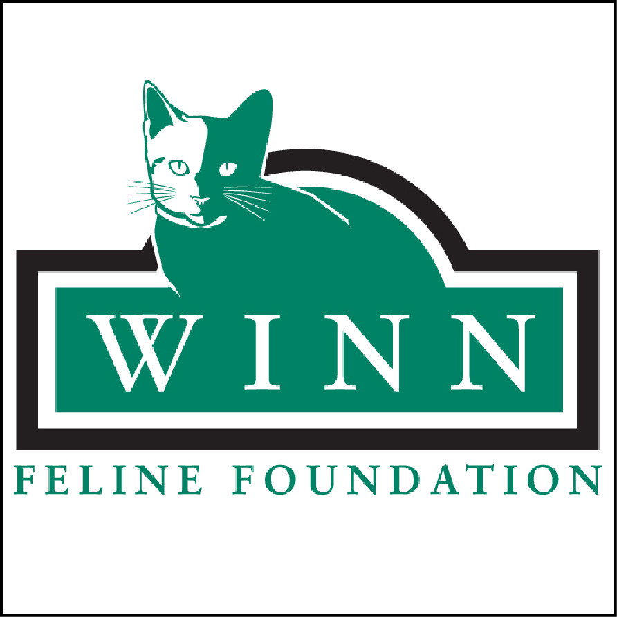 Stem Cell Therapy and Chronic Intestinal Disease in Cats | Winn Feline ...
