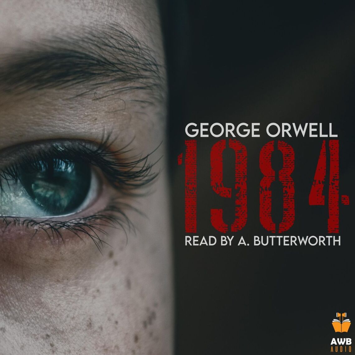 Part 3 Chapter 6_1984 | 1984 or Nineteen Eighty-Four, audiobook Podcast