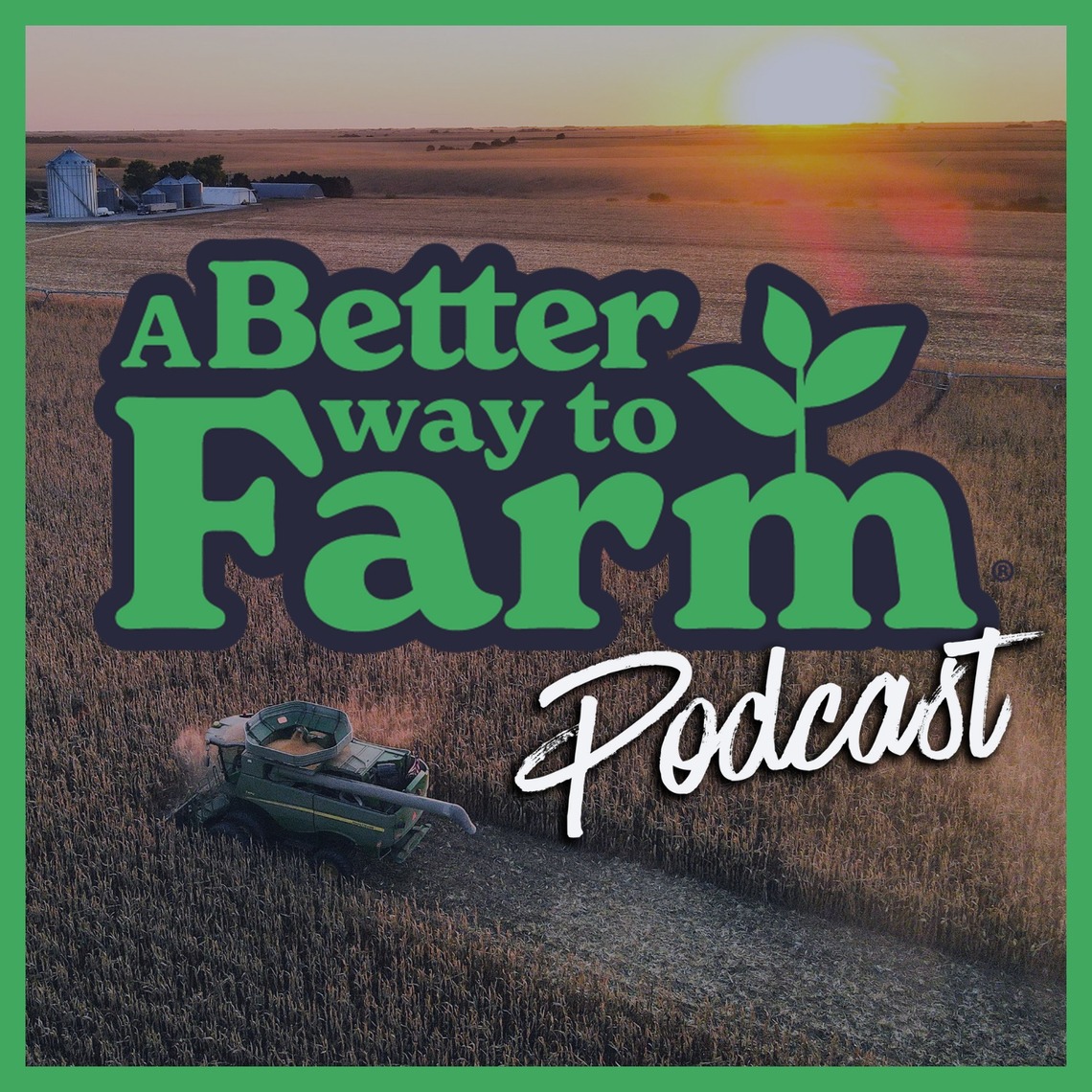 170: From Seed To Harvest: How To Choose the Right Seed For Your Farm ...