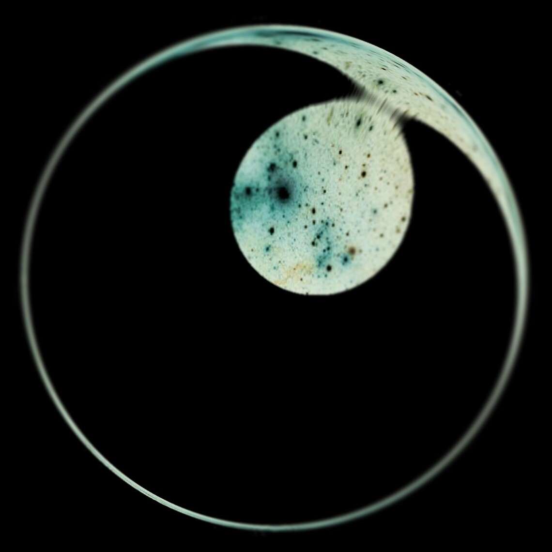 [Nelson] Las ocho de la mañana (1963). El cuento en que se basa They ...