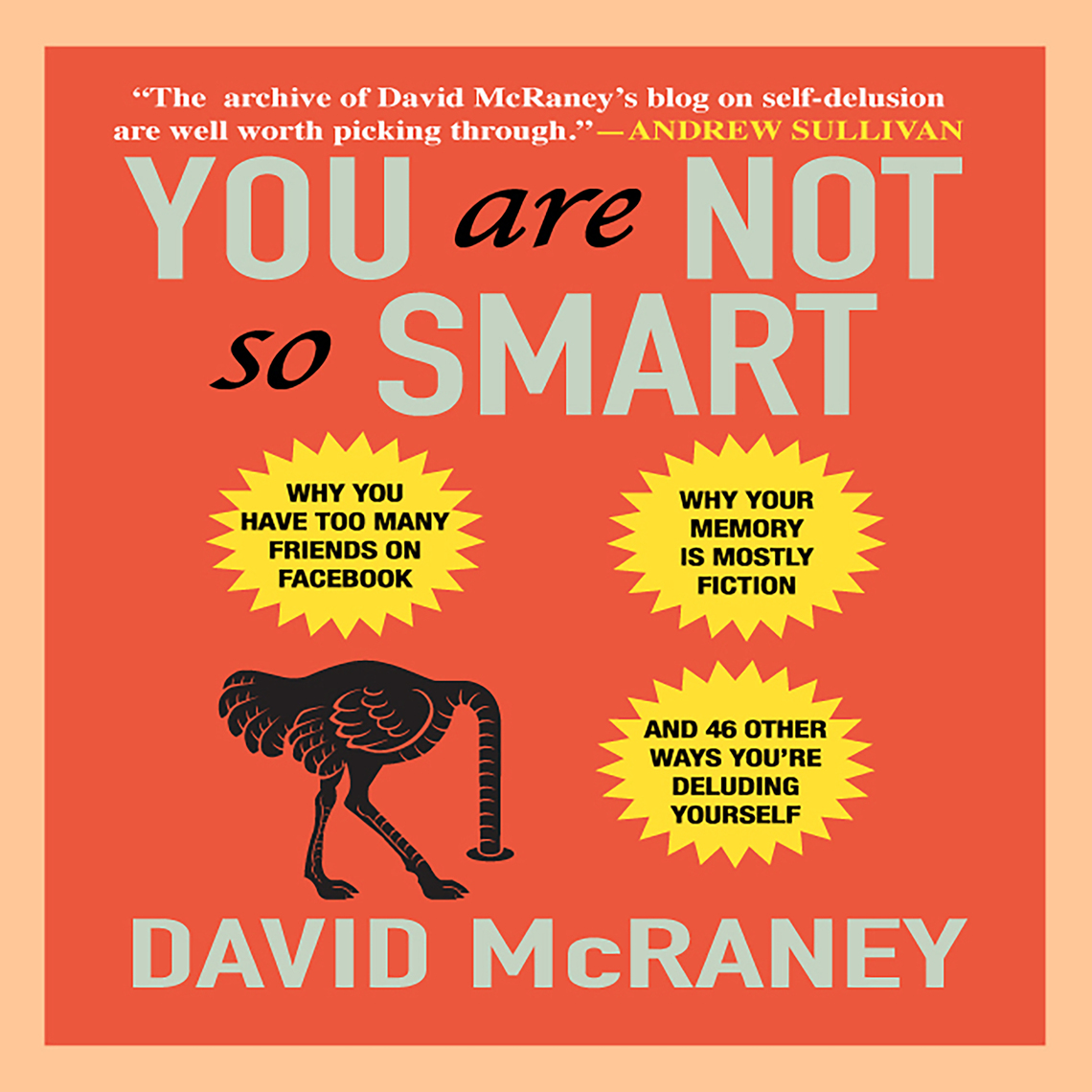 You Are Not So Smart by David McRaney - Audiobook | Everand