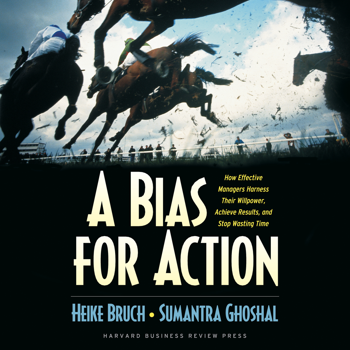 A Bias for Action by Heike Bruch, Sumantra Ghoshal (Audiobook) - Read ...