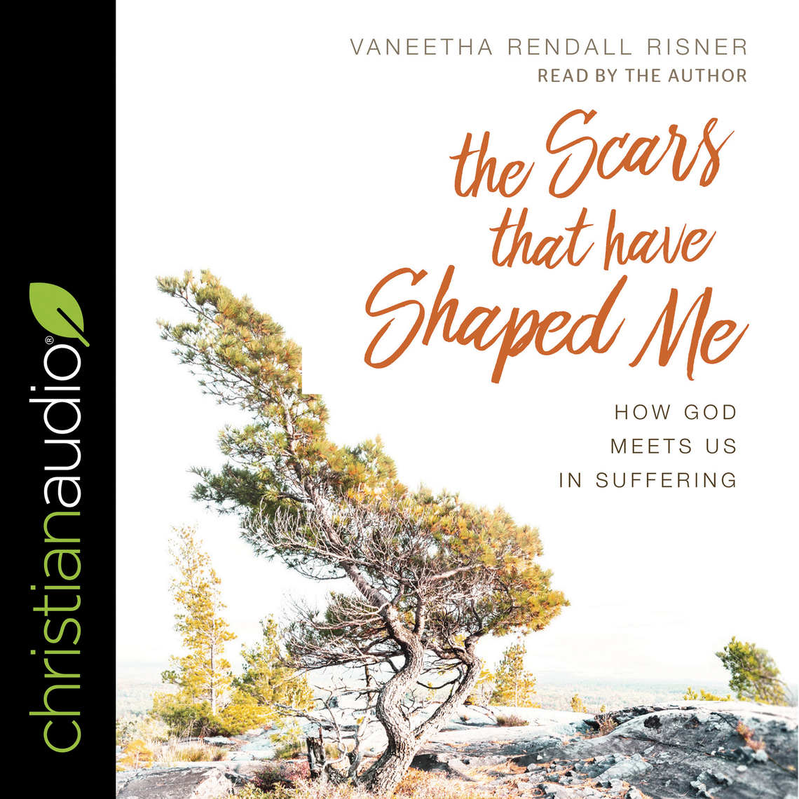Scars That Have Shaped Me by Vaneetha Rendall Risner - Audiobook | Everand