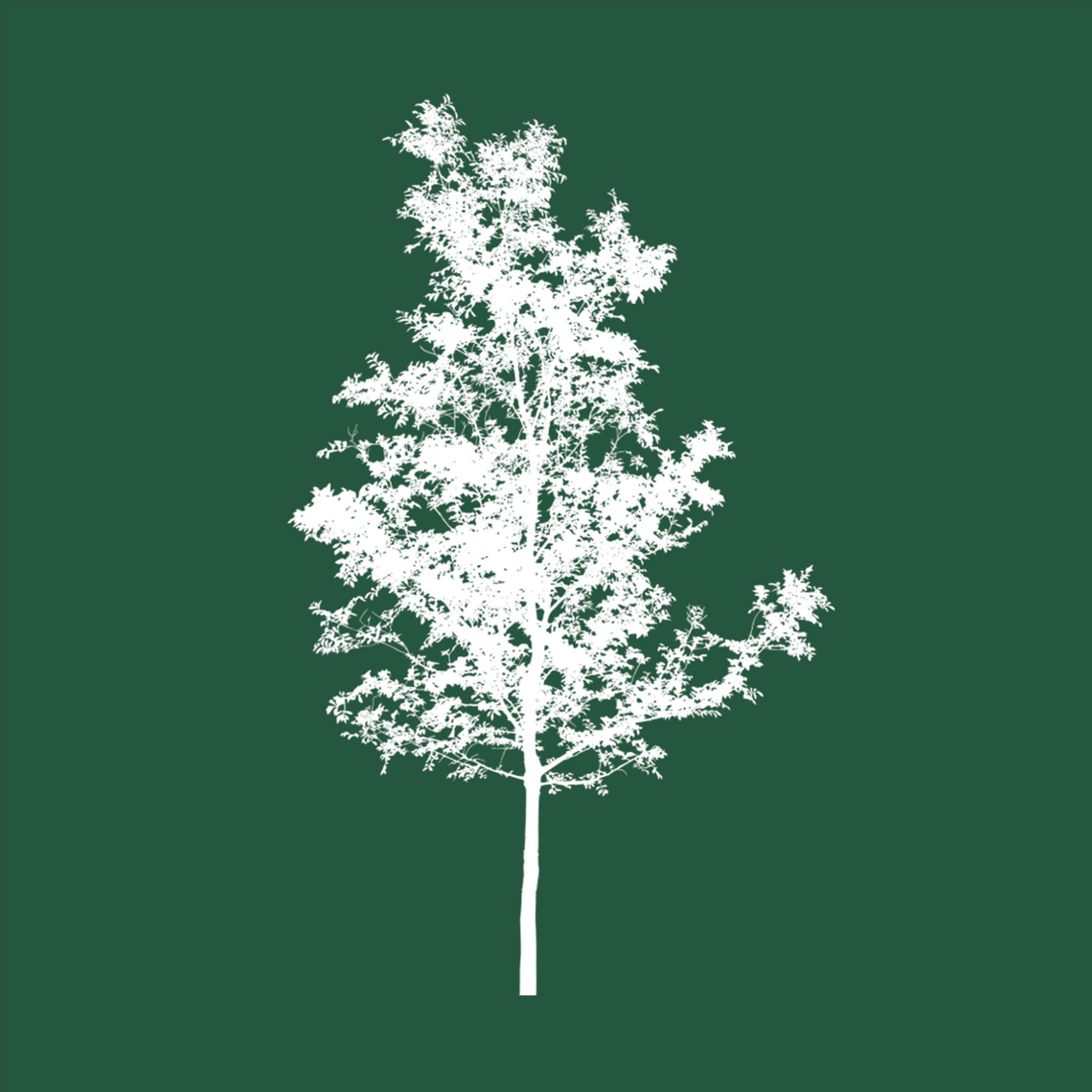 Rod Walker | “Es tiempo de reconocer la belleza antes que desaparezca ...