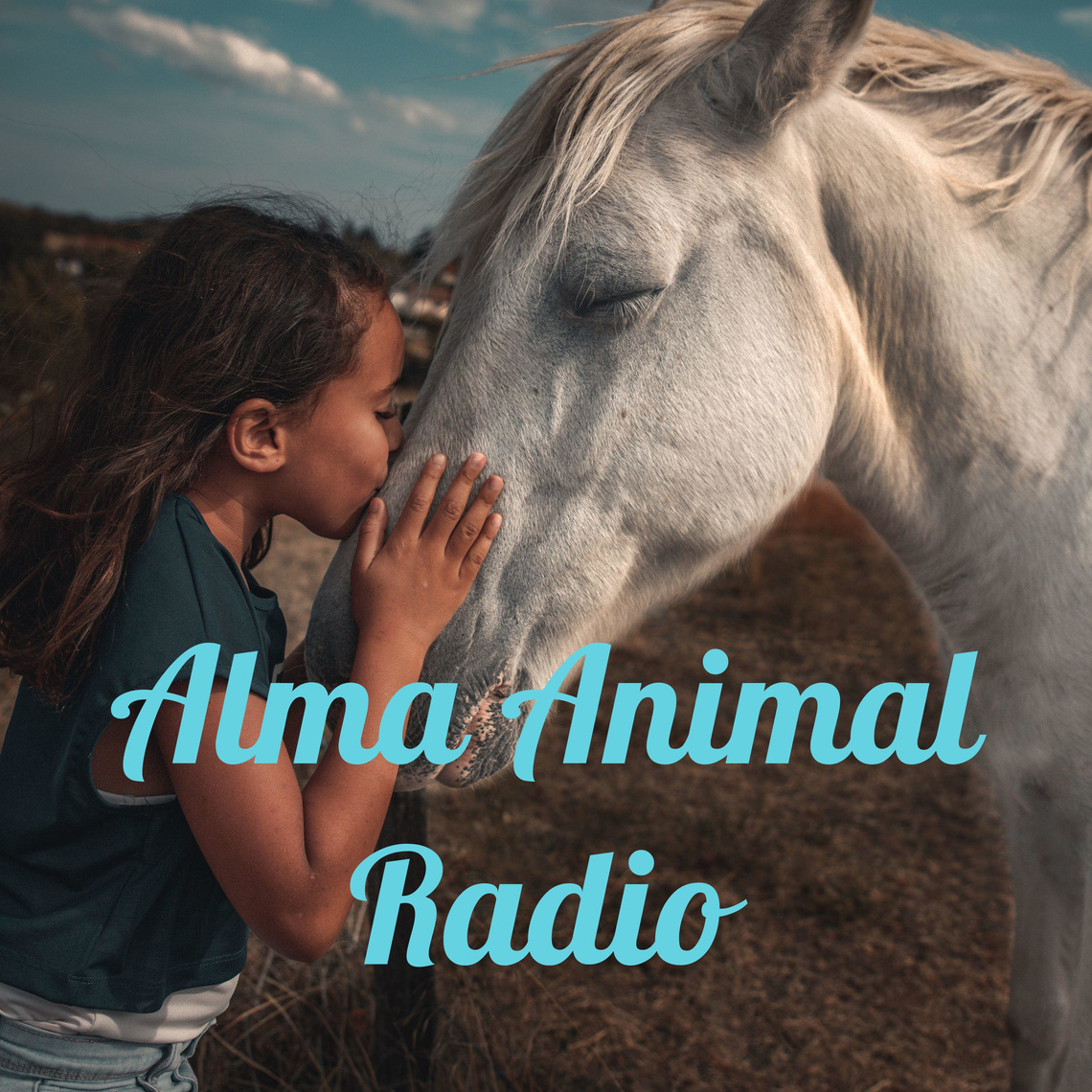 Ley de Atracción y los Animales T2 E11 | Podcast de Alma Animal Radio