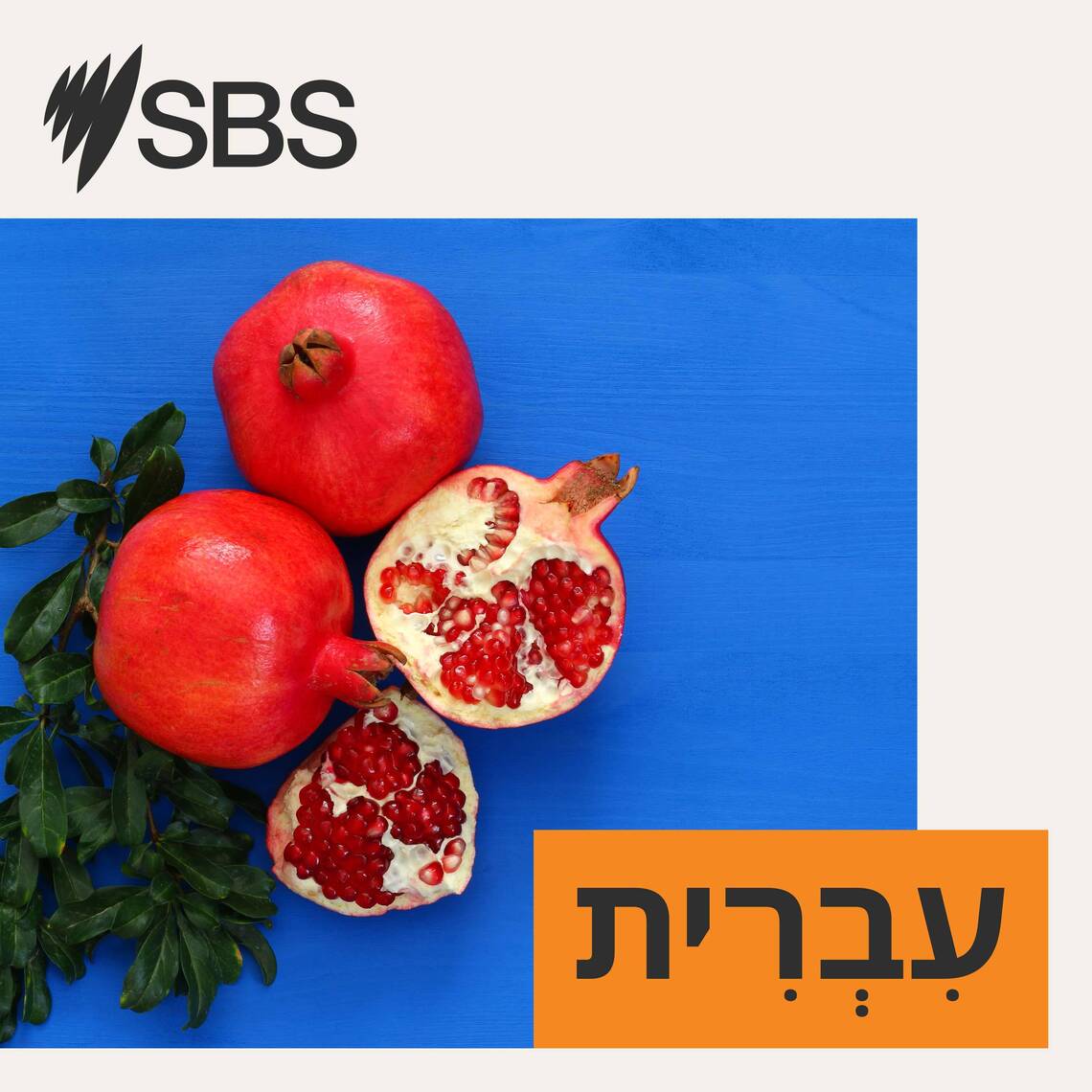 Comedians Shahar Hason and Yohay Sponder in Australia ! | SBS Hebrew ...