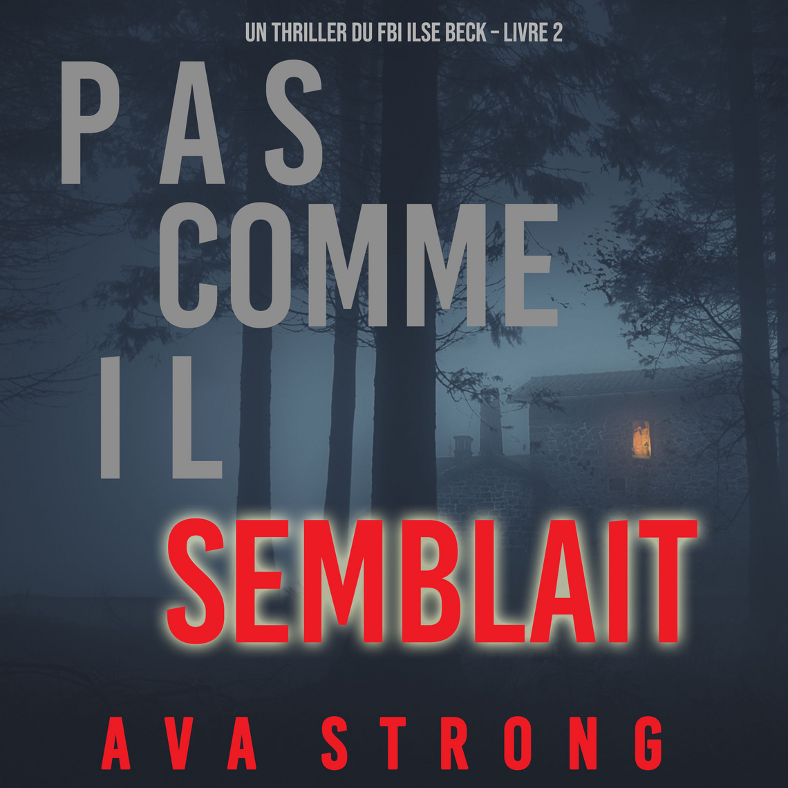 Pas comme il semblait (Un thriller du FBI Ilse Beck – Livre 2) de Ava ...