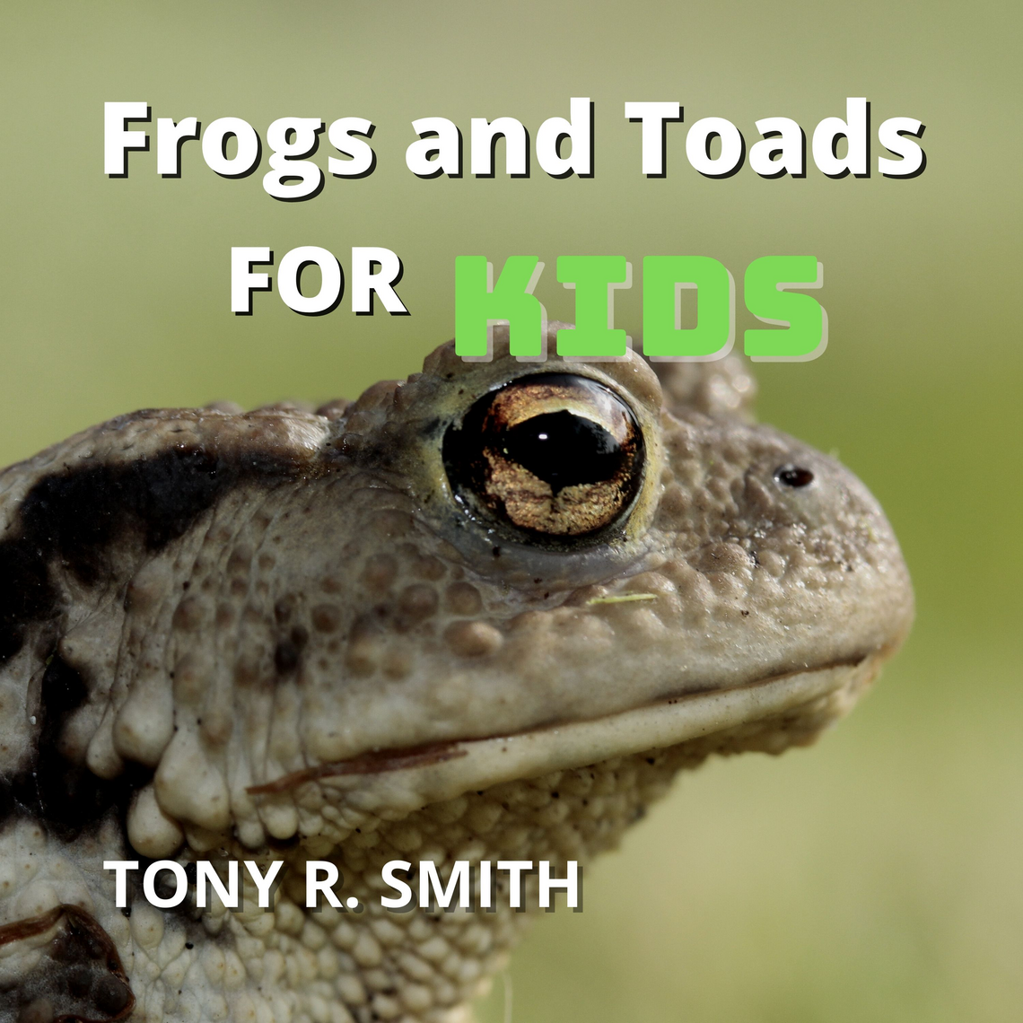 Frogs and Toads for Kids by Tony R.Smith (Audiobook) - Read free for 30 days