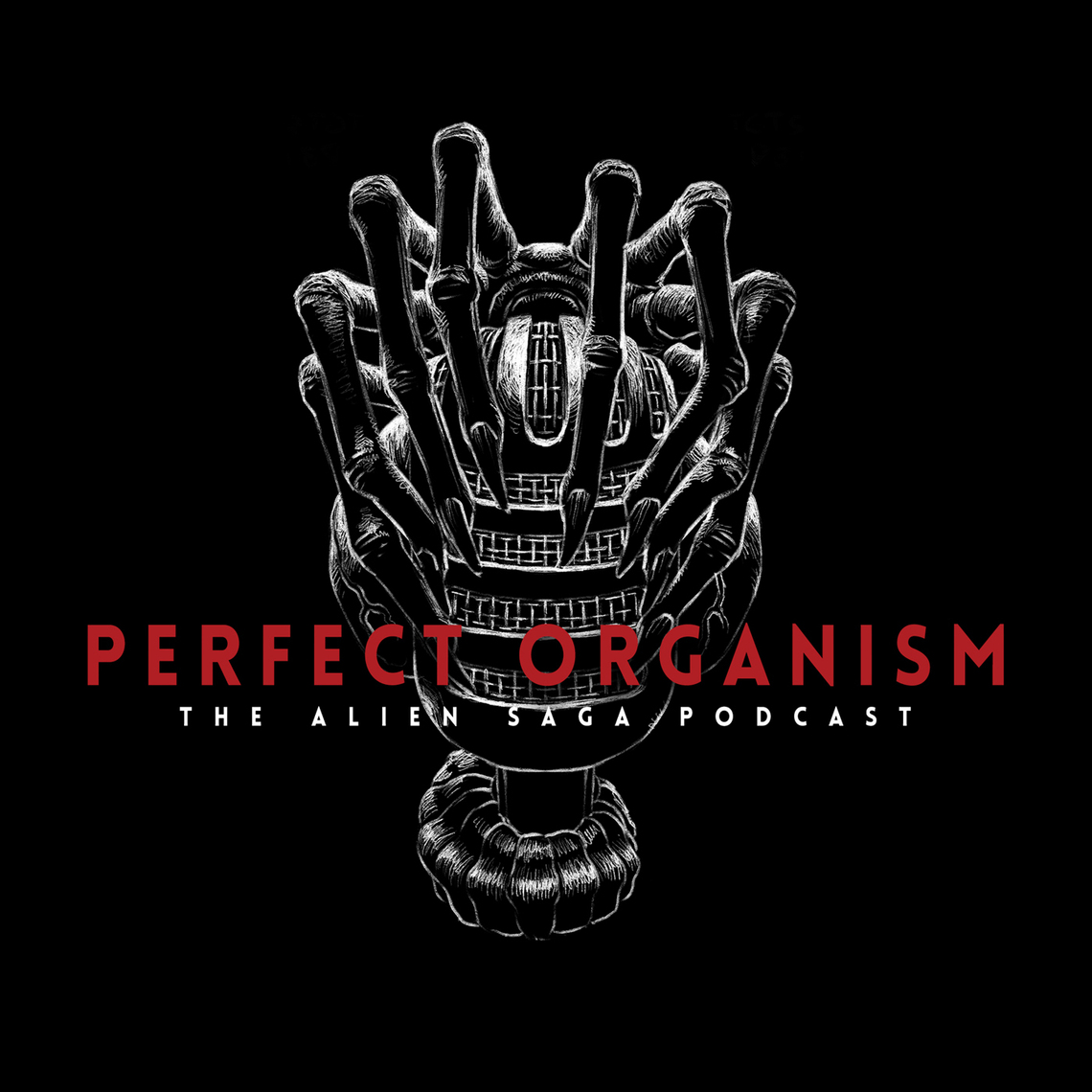 Interviewing Aileen Wu (Navarro in Alien: Romulus) | Perfect Organism ...