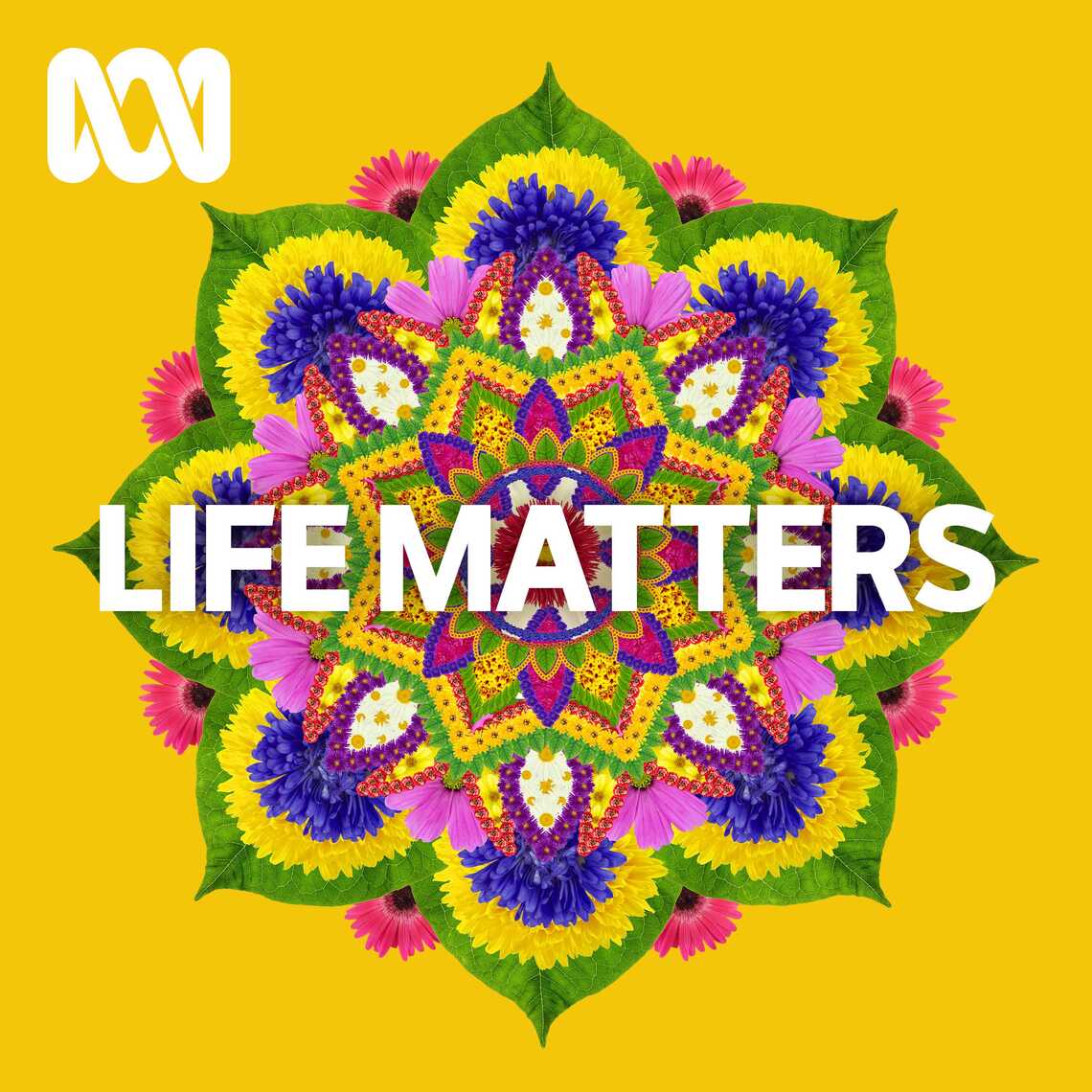 What does a good life mean? And bin night drama | Life Matters - Full ...