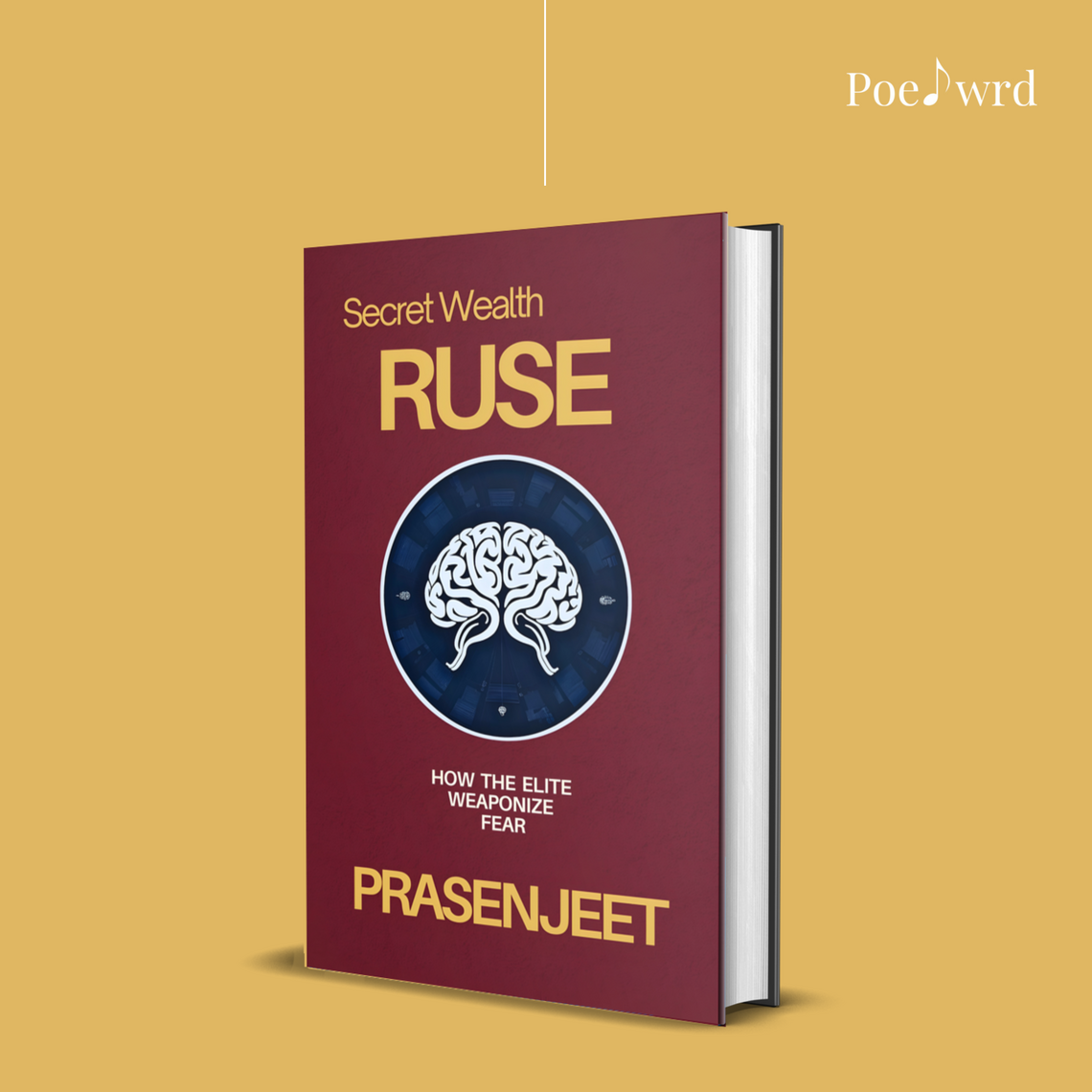 Secret Wealth Ruse by Prasenjeet (Audiobook) - Read free for 30 days