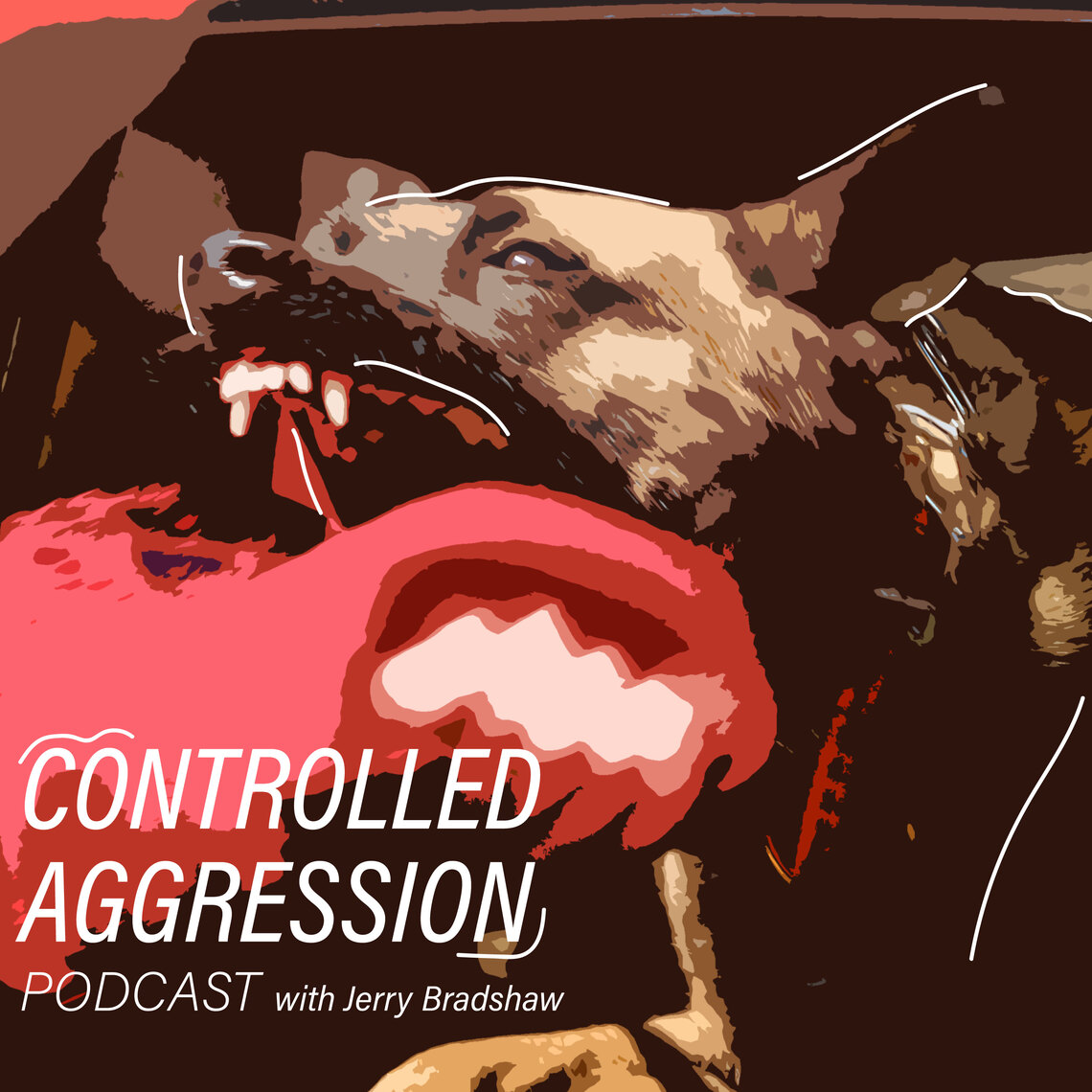 Engagement | Controlled Aggression Podcast