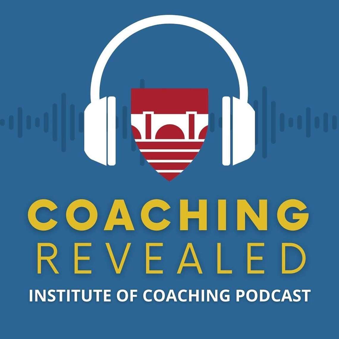 Coaching in Healthcare: A Research Driven Approach with Lara Solms and ...