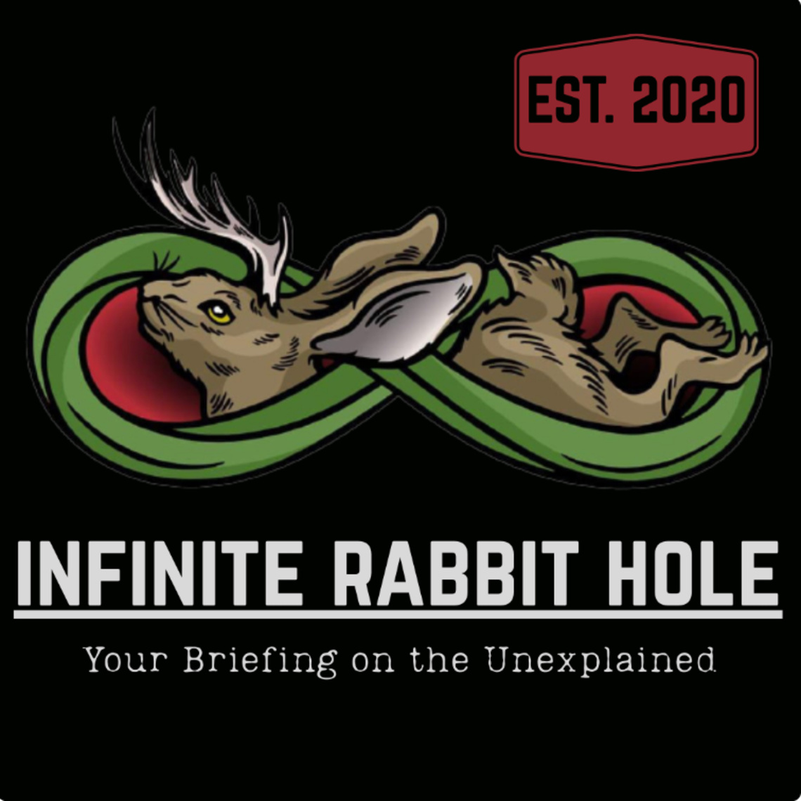 231. Universal Resonance Theory w/ Mike Olver Part 2 | Infinite Rabbit ...