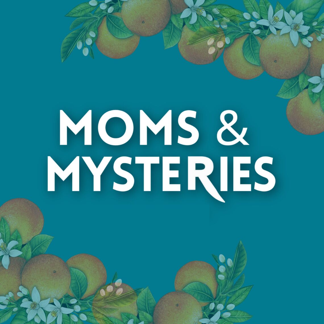 MYSTERY: Megan Trussell | Moms and Mysteries: A True Crime Podcast Podcast