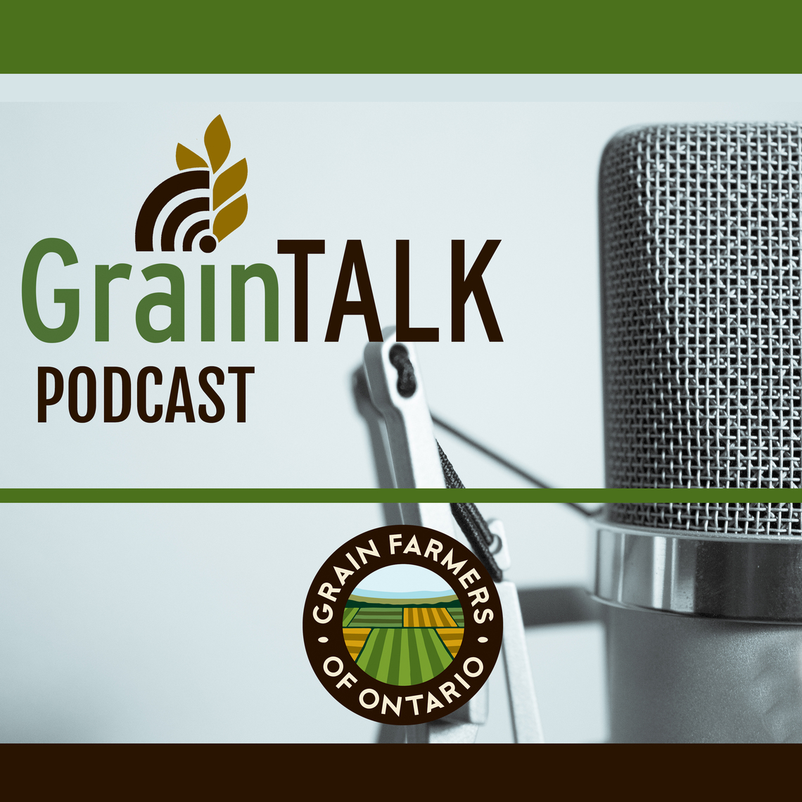 Market Trends Report – November & December 2025 | GrainTALK Podcast