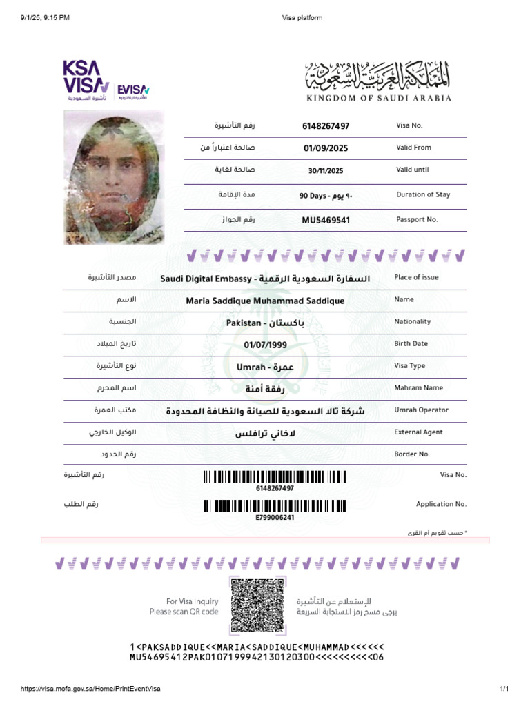 Visa PlatformMaria Saddique Muhammad Saddique | PDF