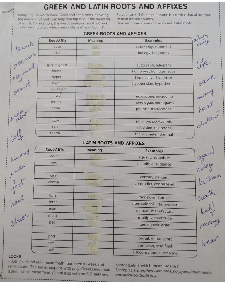 Greek and Latin Roots and Affixes | PDF