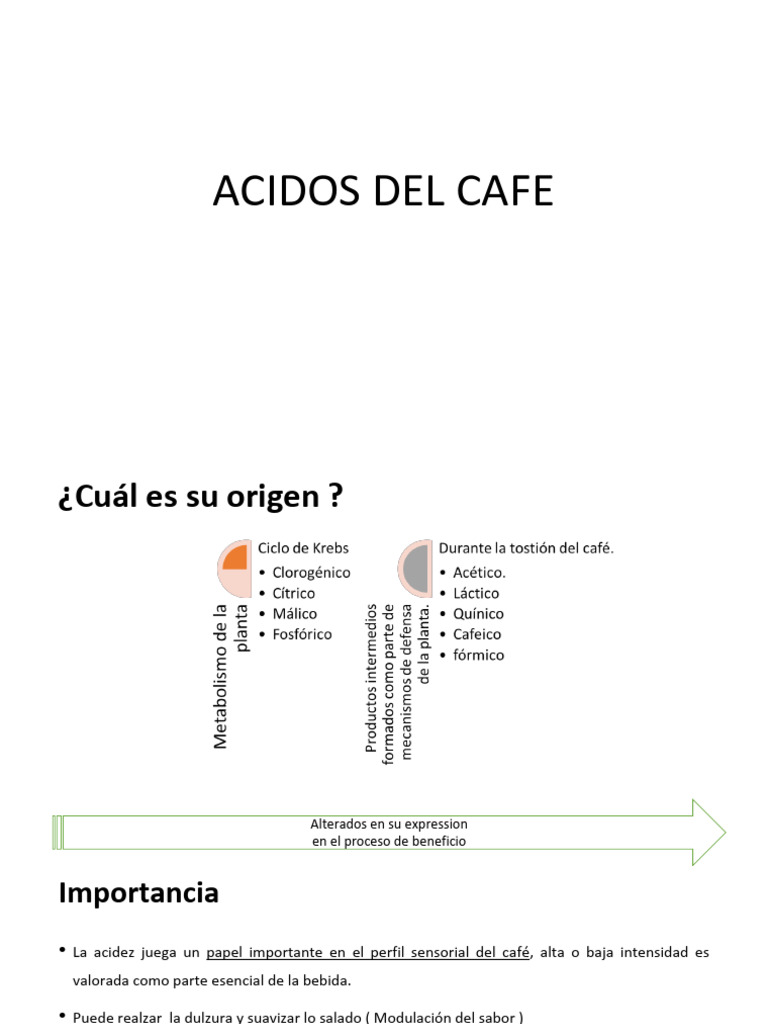 ACIDOS DEL CAFE CLASE DE GIOVANNA VILLEGAS | PDF | café | Ciencia de ...