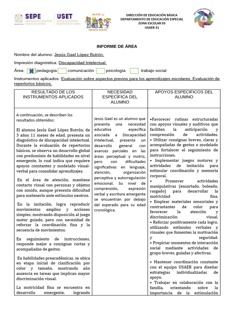 Informe de Area Jesus Gael 2025 | PDF | Discapacidad intelectual ...