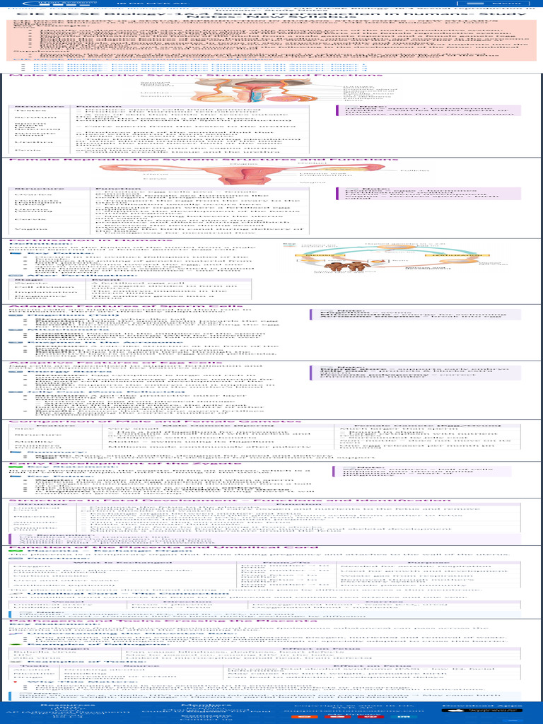 CIE IGCSE Biology-16.4 Sexual Reproduction in Humans - Study Notes ...