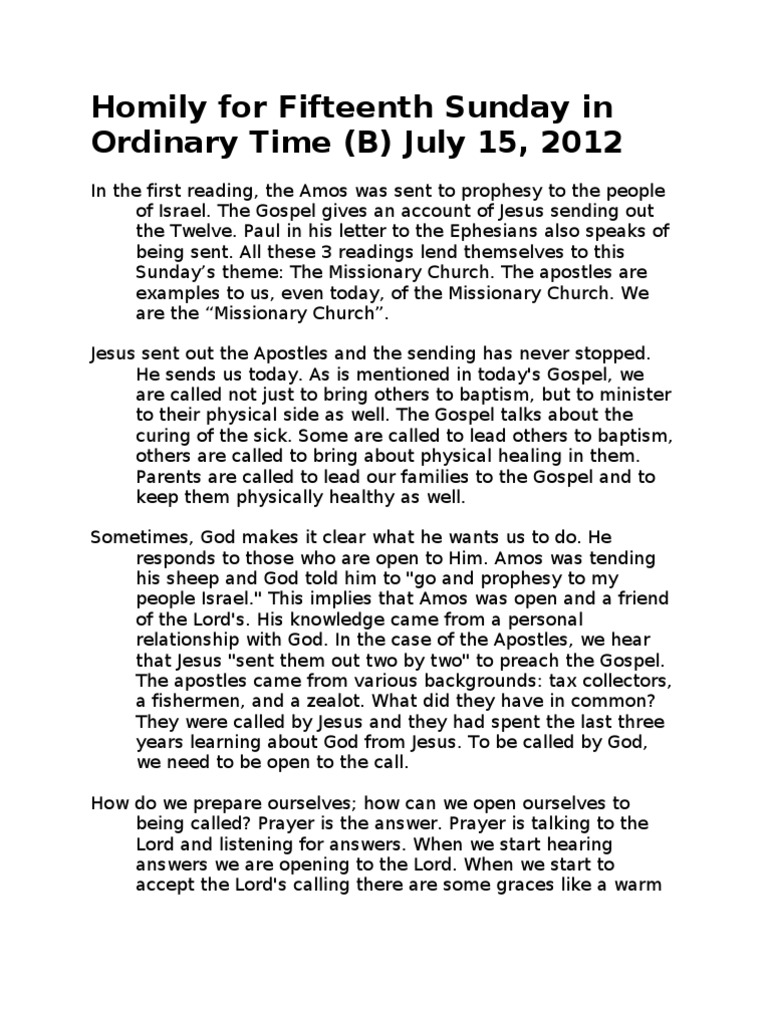 Homily For The Fifteen Sunday in Ordinary Time 2012 | PDF | The Gospel ...