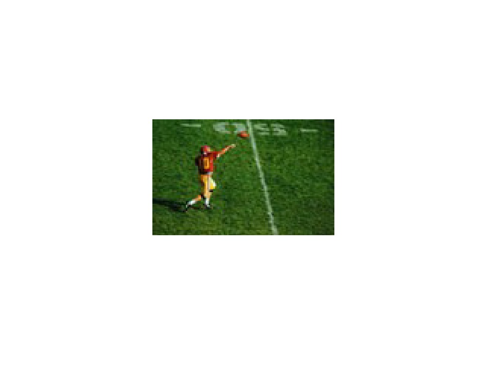 Quarterback Manual | PDF | Quarterback | Hand