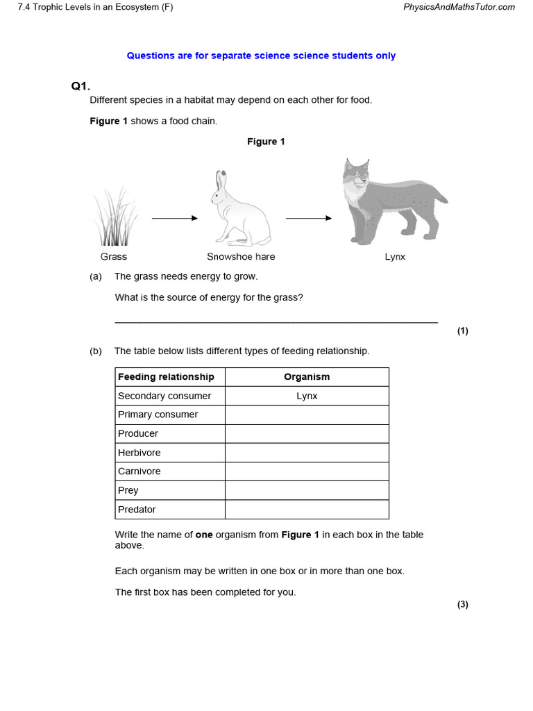 7.4 Trophic Levels in An Ecosystem (F) QP | PDF | Predation | Biology