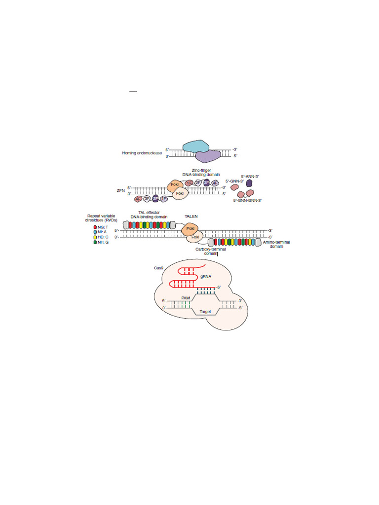 Genome Editing Technologies | PDF | Crispr | Dna