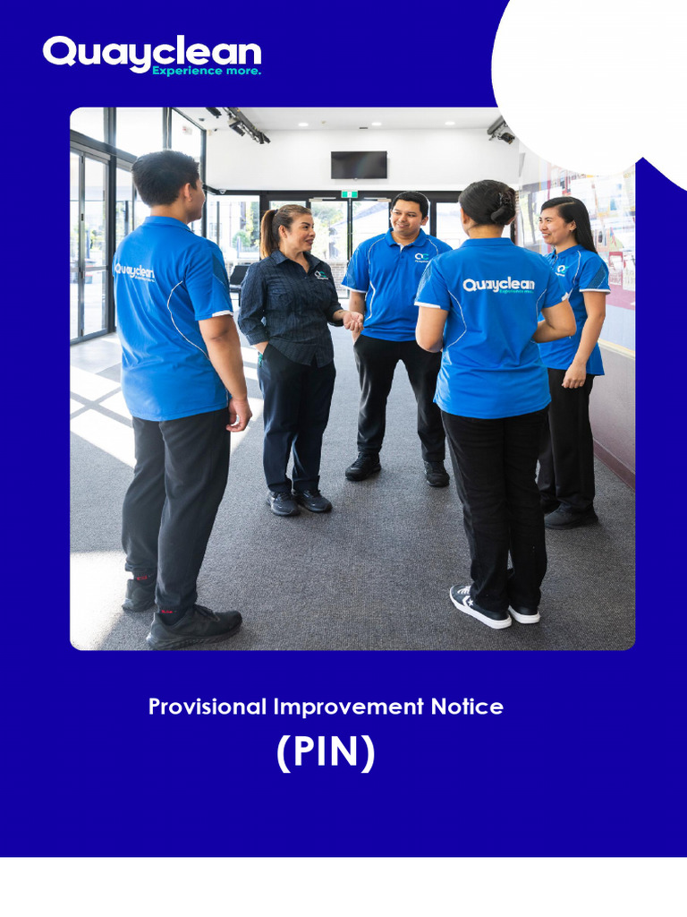 Provisional Improvement Notice (PIN) - Functional Requirements Document ...
