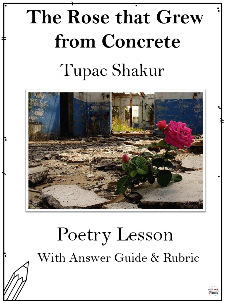 Tupac Shakur: The Rose That Grew From Concrete | PDF | Poetry
