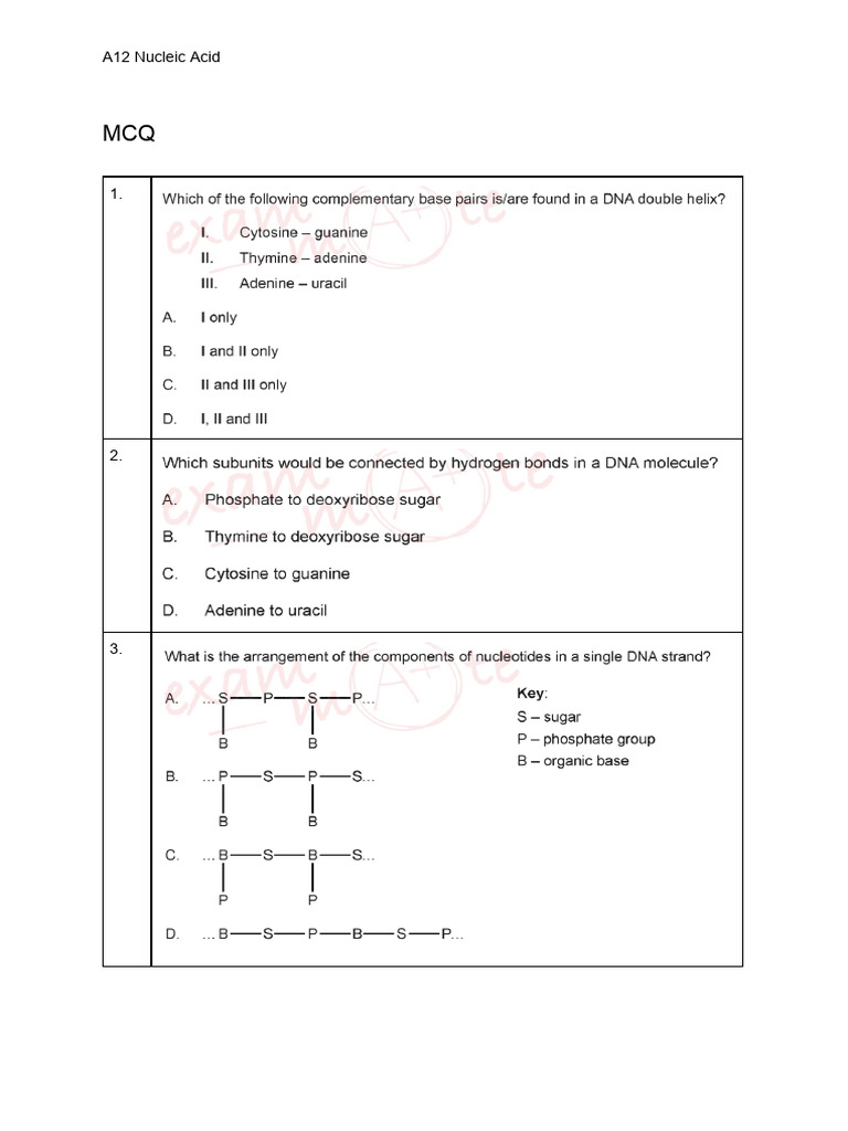 A12 Nucleic Acid | PDF