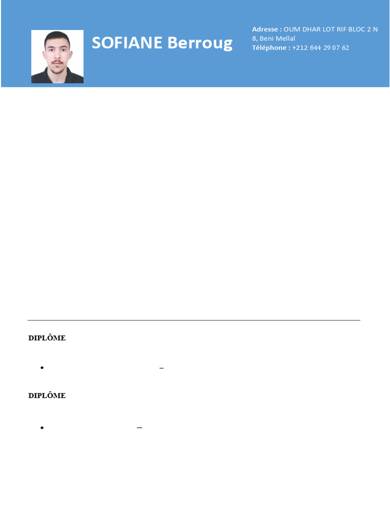 CV SF | PDF