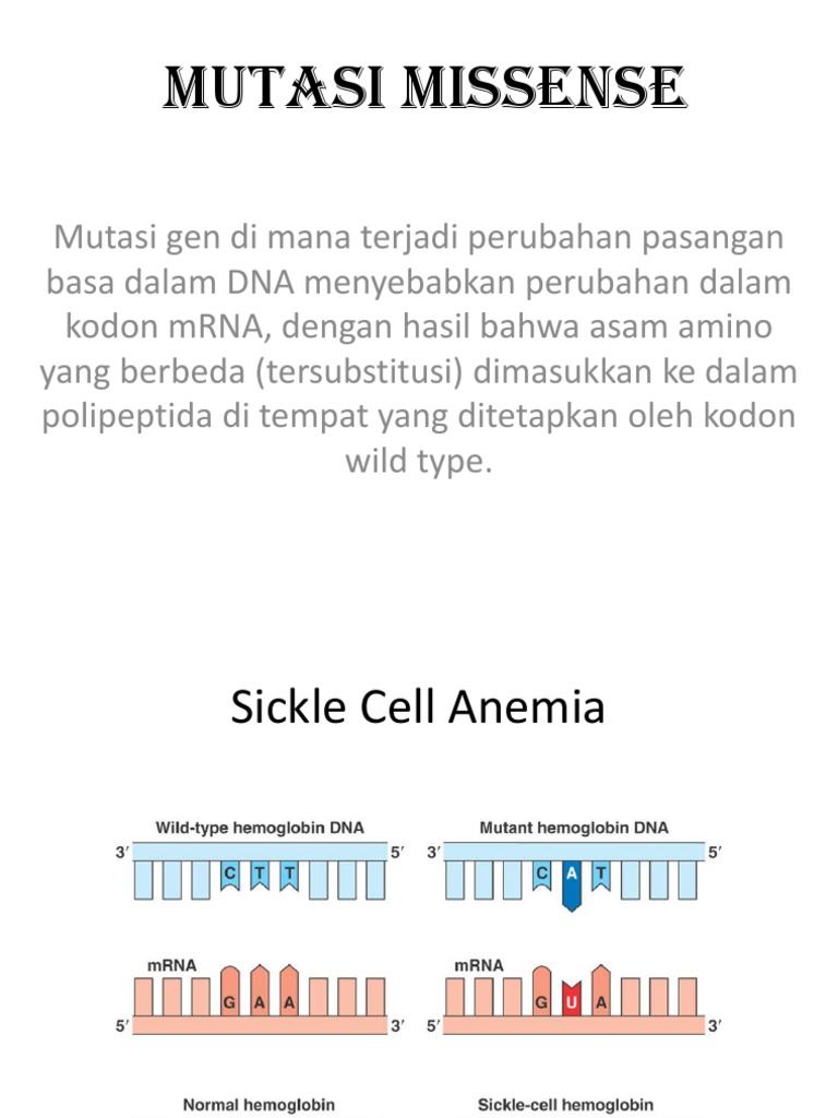 Mutasi Missense | PDF