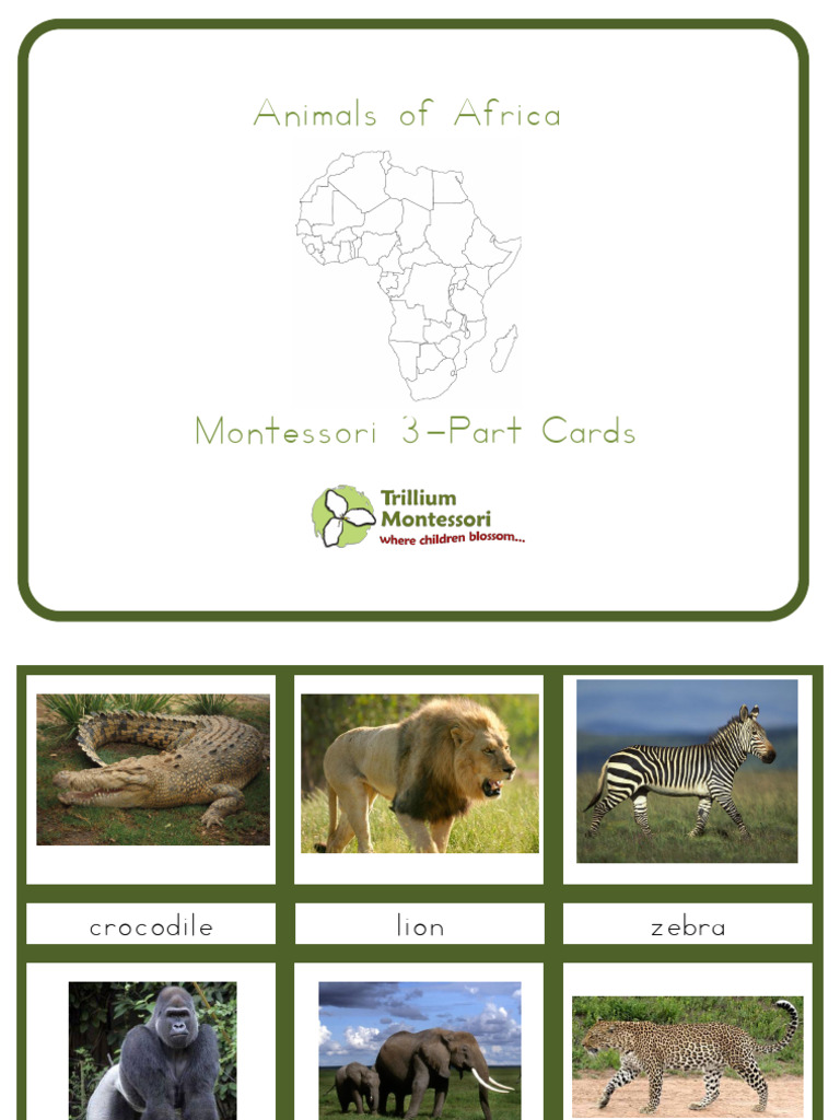 18-Animals of Africa Montessori 3 Part Cards by Trillium Montessori | PDF