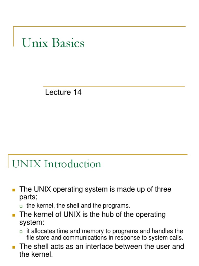 Unix Basics | PDF | Filename | Computer File