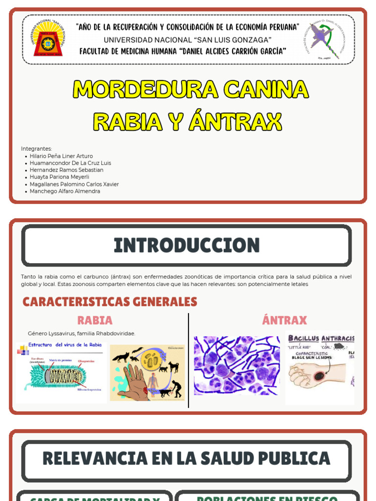 Rabia y Antrax | PDF | Rabia | Ántrax