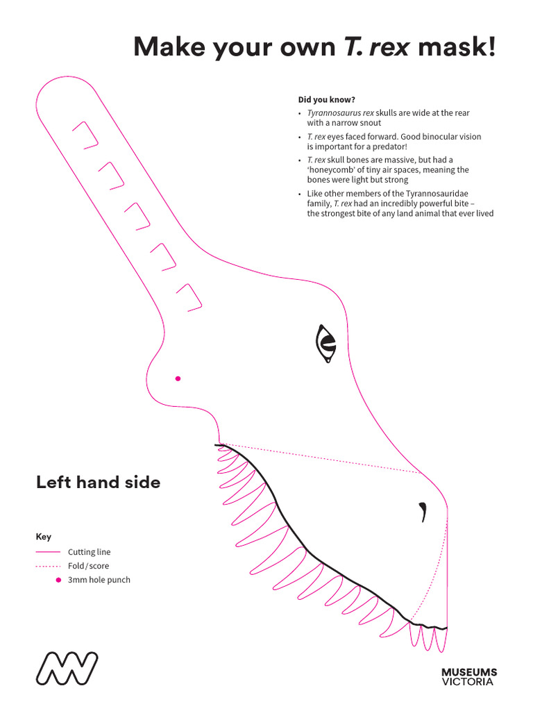 Trex Mask A3 | PDF