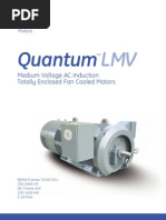Gimpel Valves From Dresser Rand | PDF
