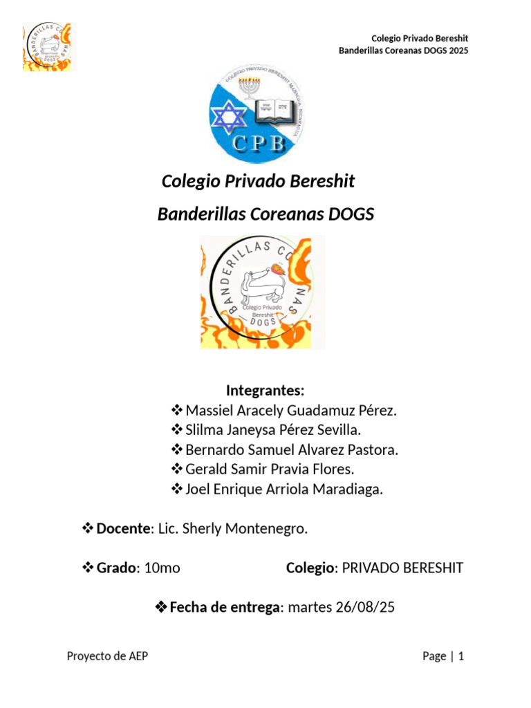 Proyecto AEP BANDERILLAS COREANAS 2025 Decimo Grado | PDF | Análisis ...