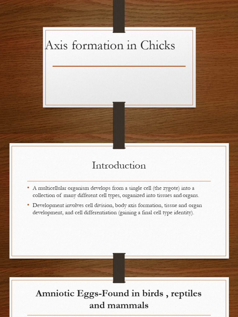 Axis Formation in Chicks | PDF | Developmental Biology | Reproduction