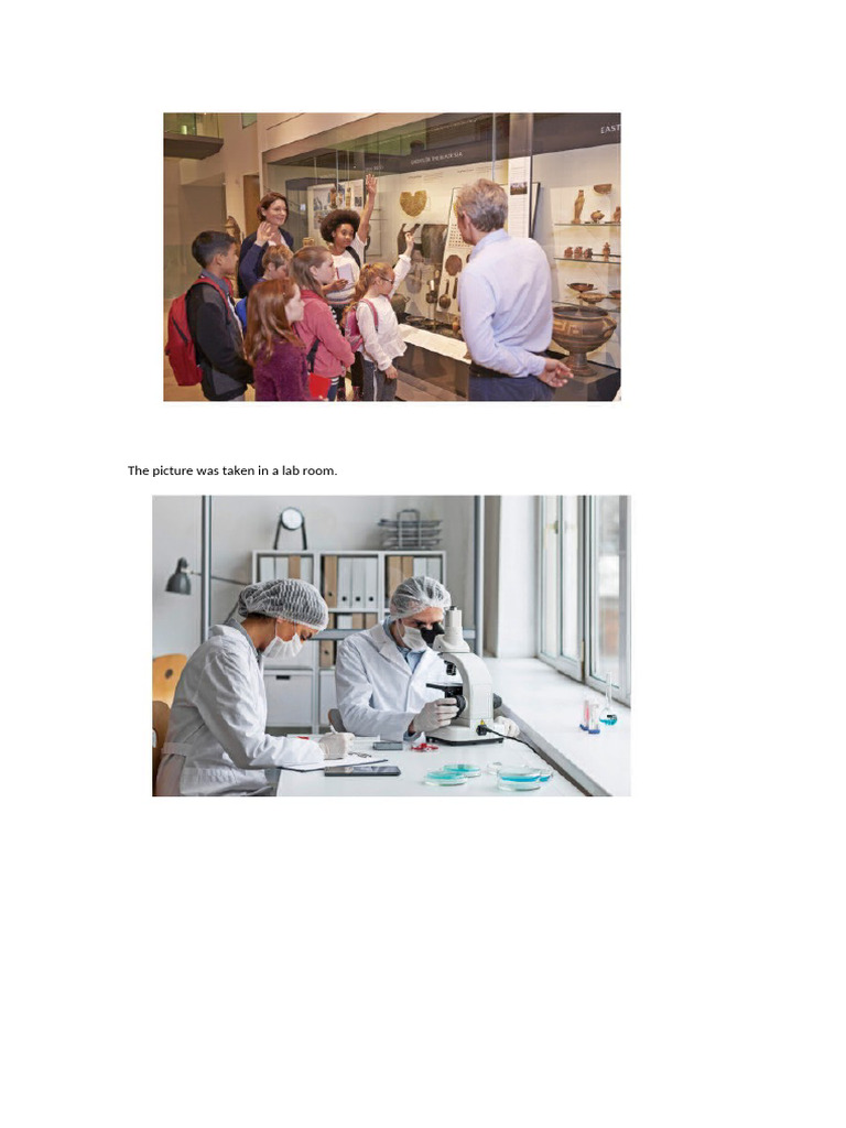 Describe A Picture Level 2 | PDF