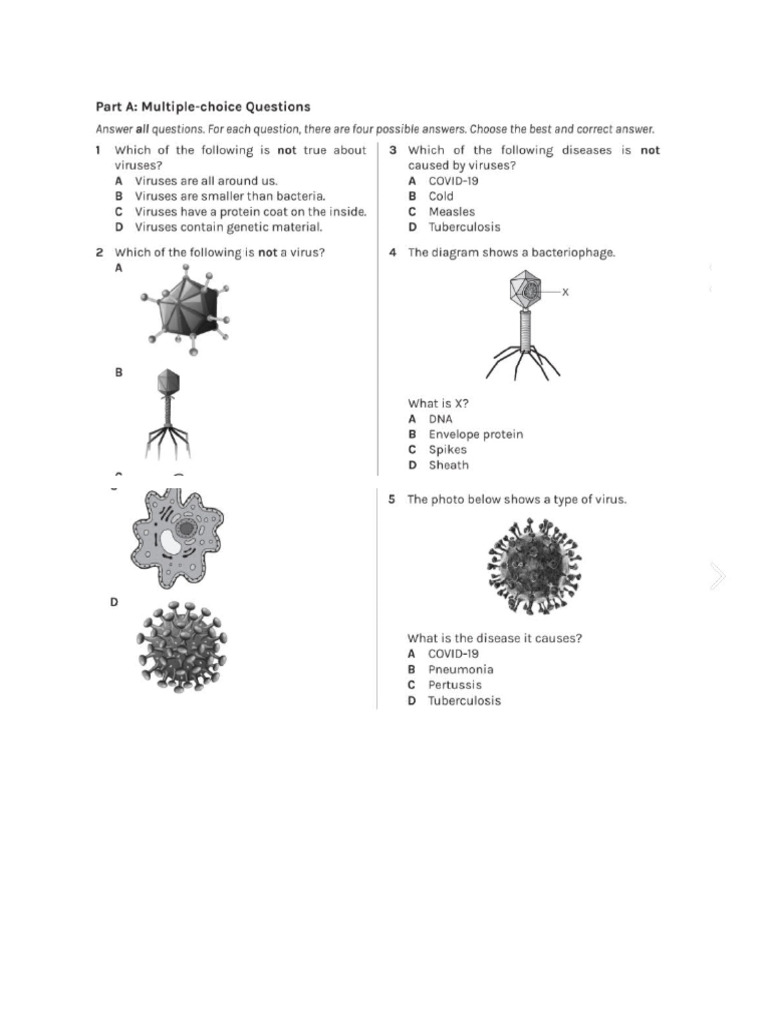Worksheet | PDF