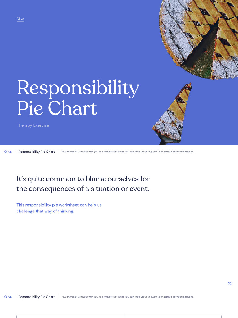 Responsibility Pie Chart | PDF