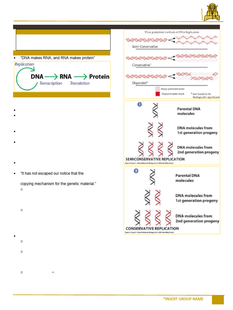 Lesson 2 - Central Dogma Part 1 | PDF | Dna Replication | Primer ...
